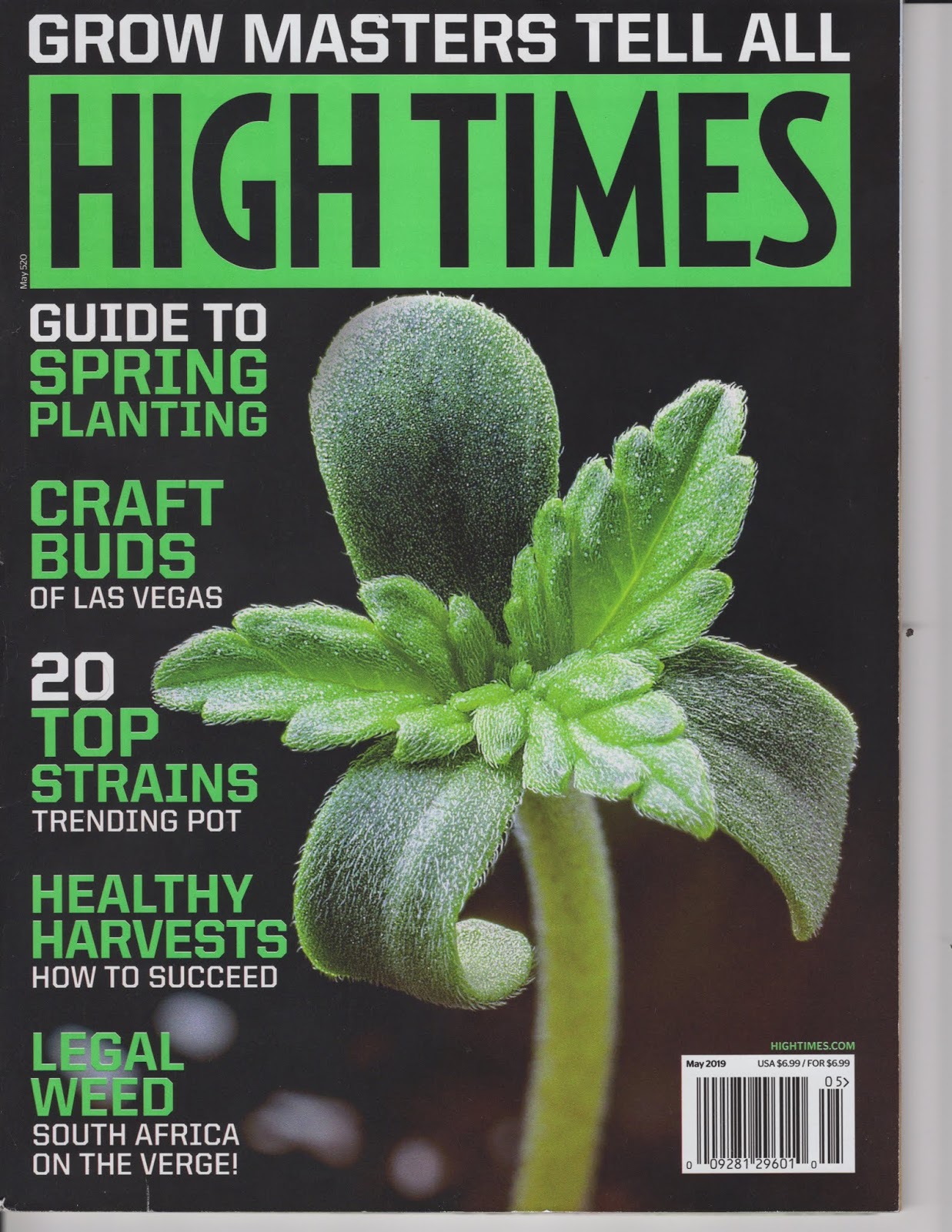 Jake Katel - Multimedia Content