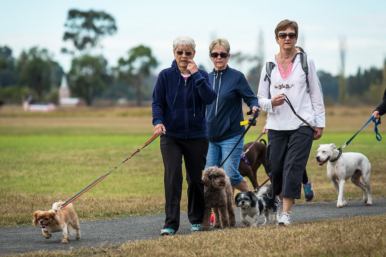 2019 Paws in the Park Camden - May 5 | Australian Dog Lover