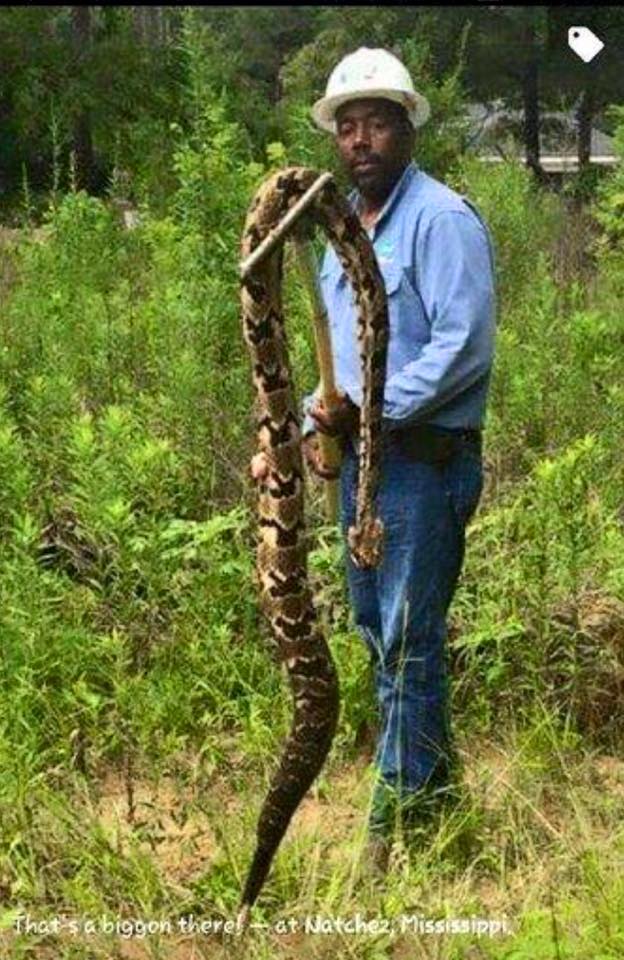 Marian's Hunting Stories, etc., etc., etc...: A Biggon!