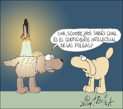 Enroque de ciencia: Humor intelectual
