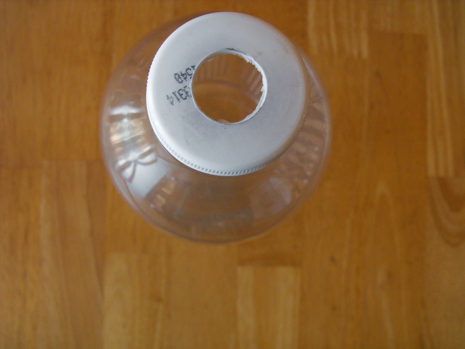 Raising Cinder, a Border Collie Puppy: Spinner Bottle Treat Toy-Cinder ...