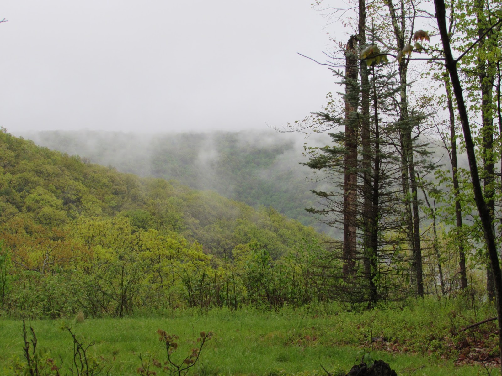 Learning about PA's Elk Herd at the Elk Country Visitor Center ...