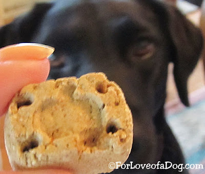 Talking Dogs at For Love of a Dog: Halloween @BlueBuffalo Boo Bars from ...