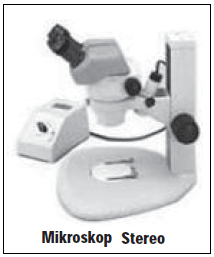 Jenis-Jenis Mikroskop (Mikroskop Cahaya, Stereo, Elektron) | Macam ...