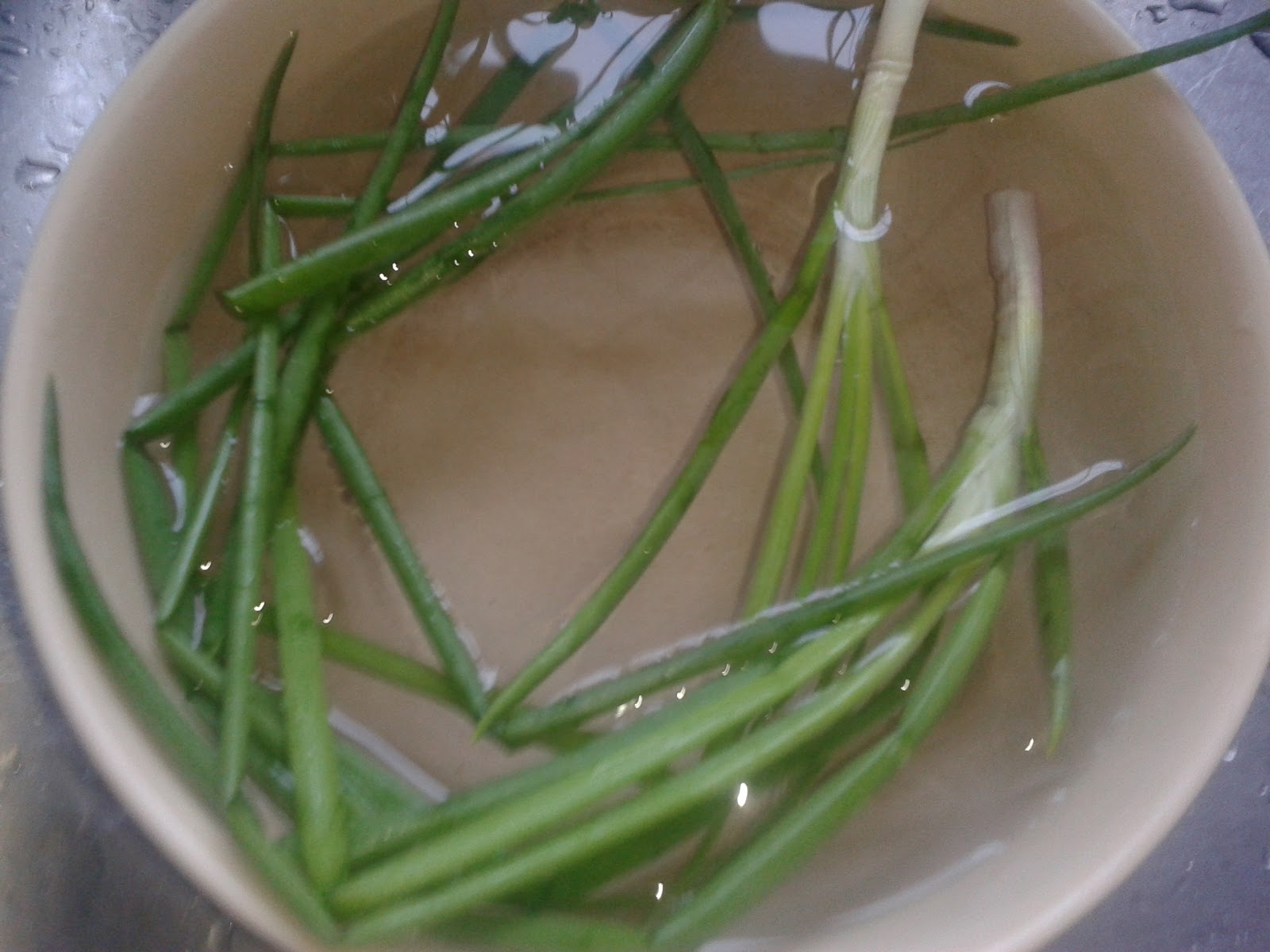 Be Health Aware: Growing Your Own Spring Onions