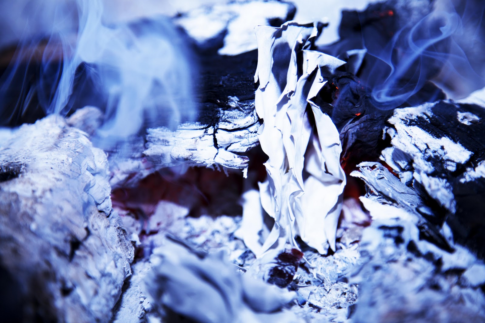 William Grob Journal: Showing my work to EVERYONE! 28th jan