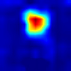 Grad-CAM Implementation in pycaffe