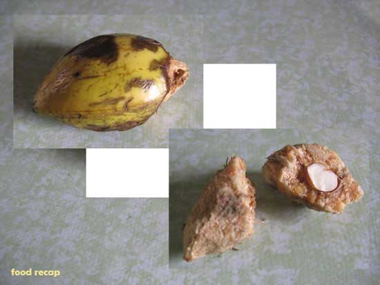 Kem's Entrée Meal: FUTURE!!!