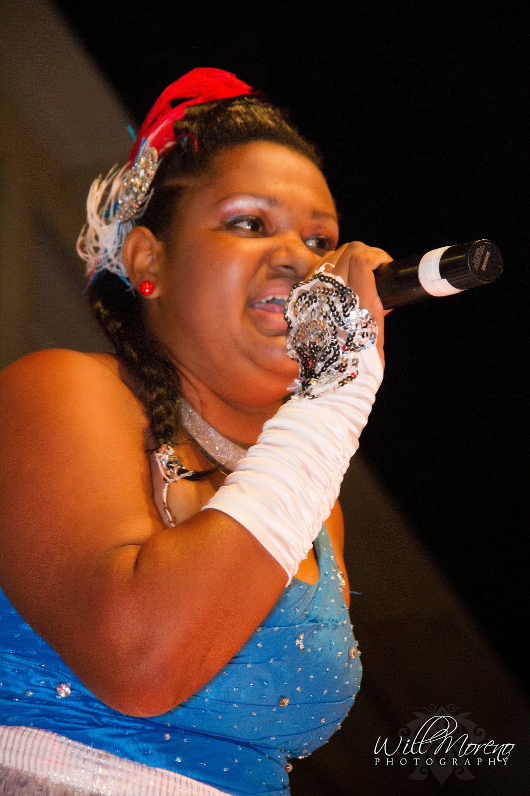 Platinum International Real Estate and Investments - Belize Division ...