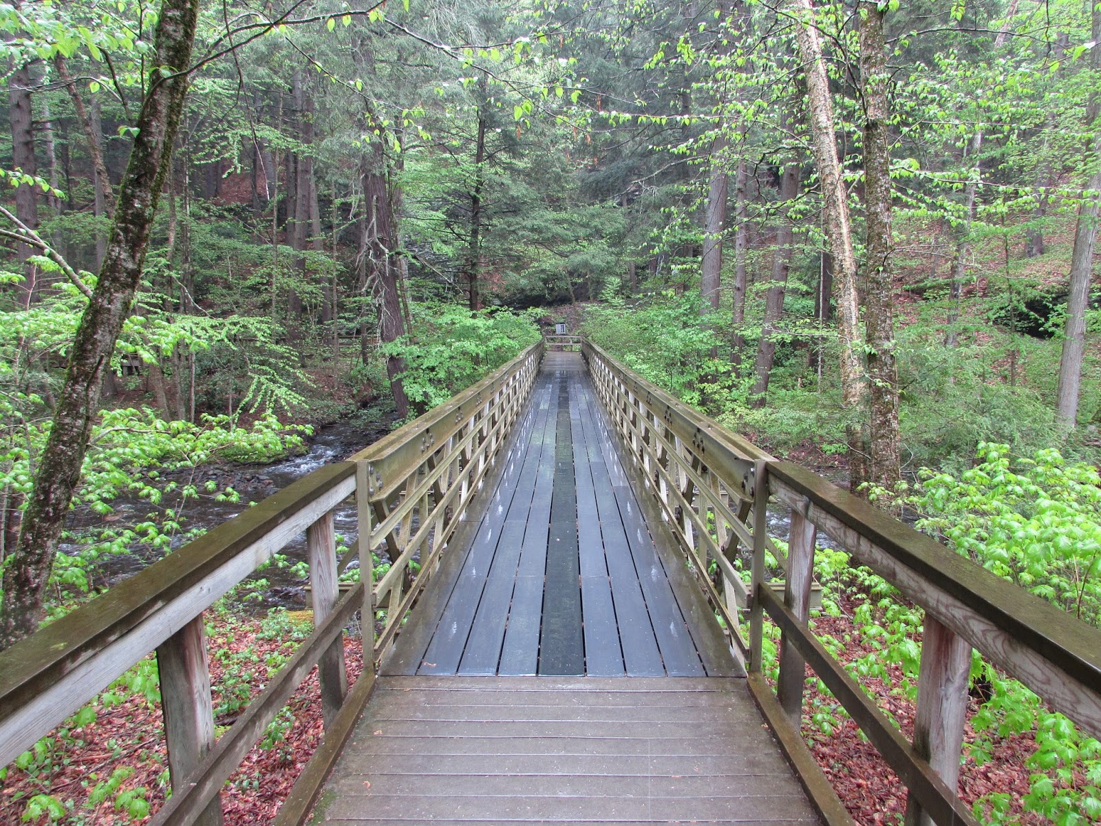 Two of the Best Falls in PA: Silverthread and Dingmans Falls, Delaware ...