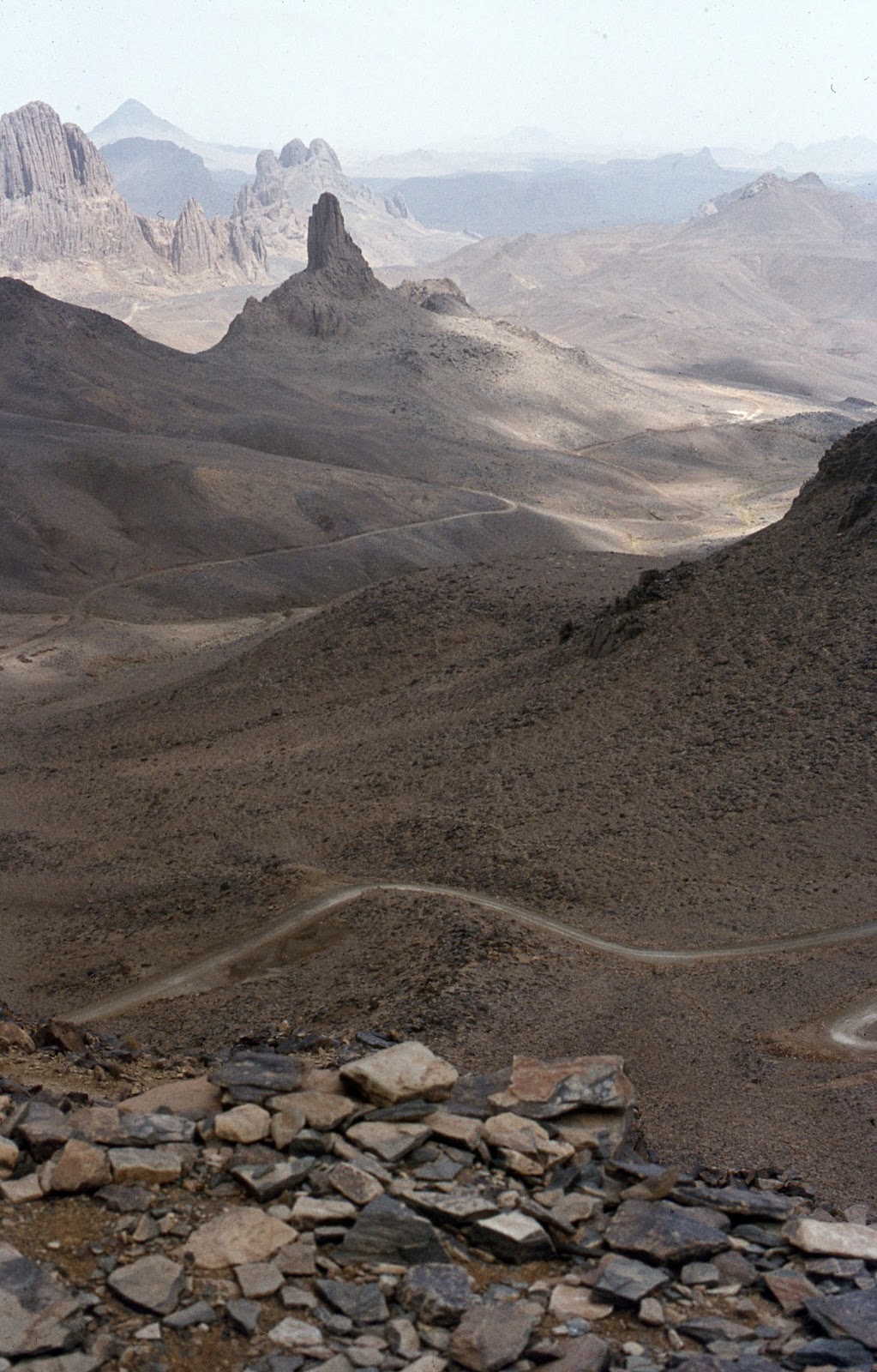 Reflections: In Amenas