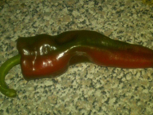 Tomato Addict: The Basque region and it's official peppers