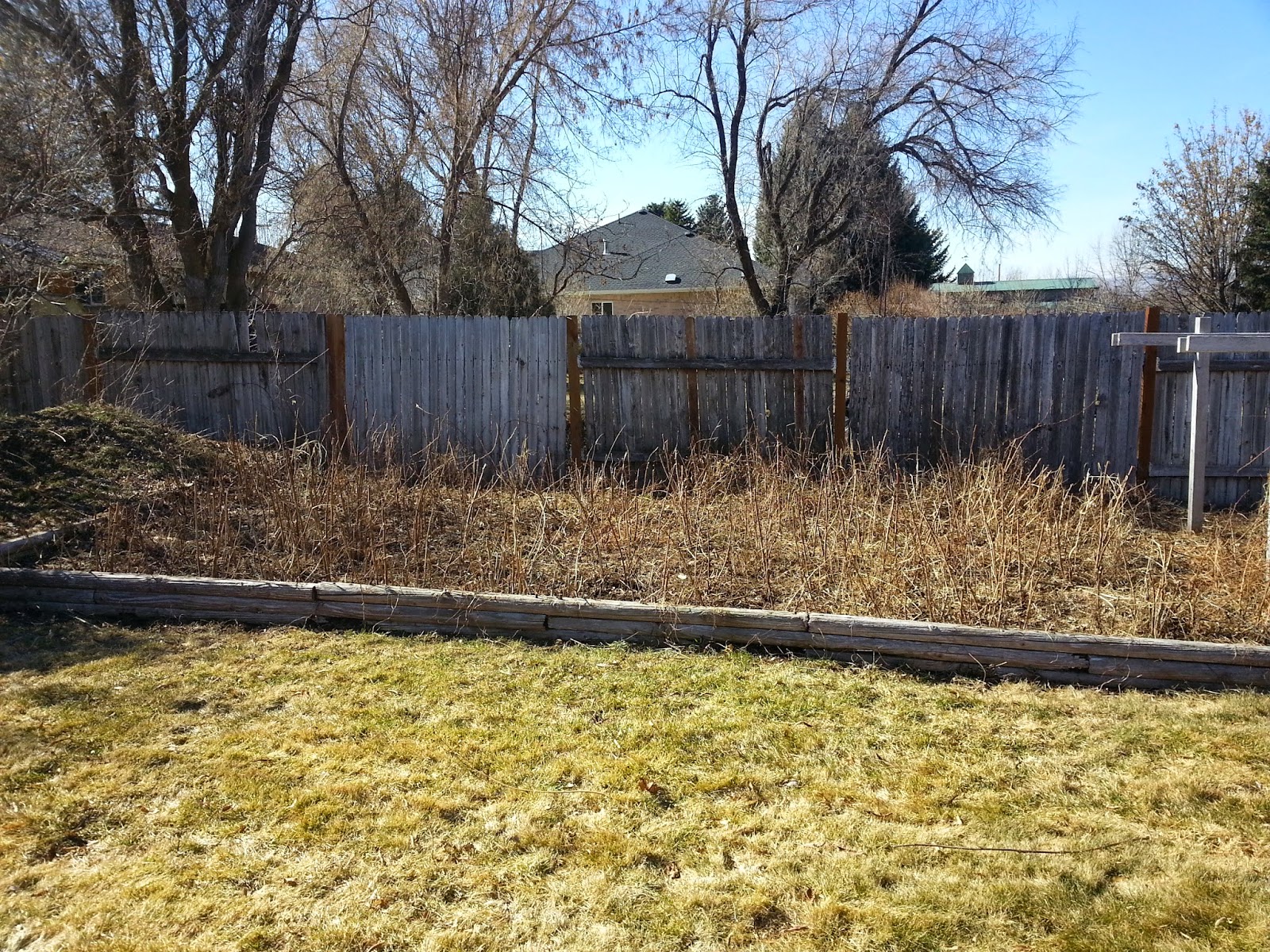 Bodily Bunch: Fizzling Fireboxes