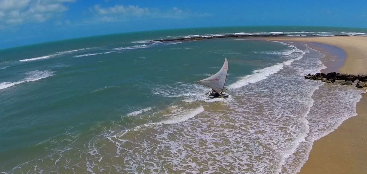 Festival da Sardinha promete alegria, shows e delícias gastronômicas na ...