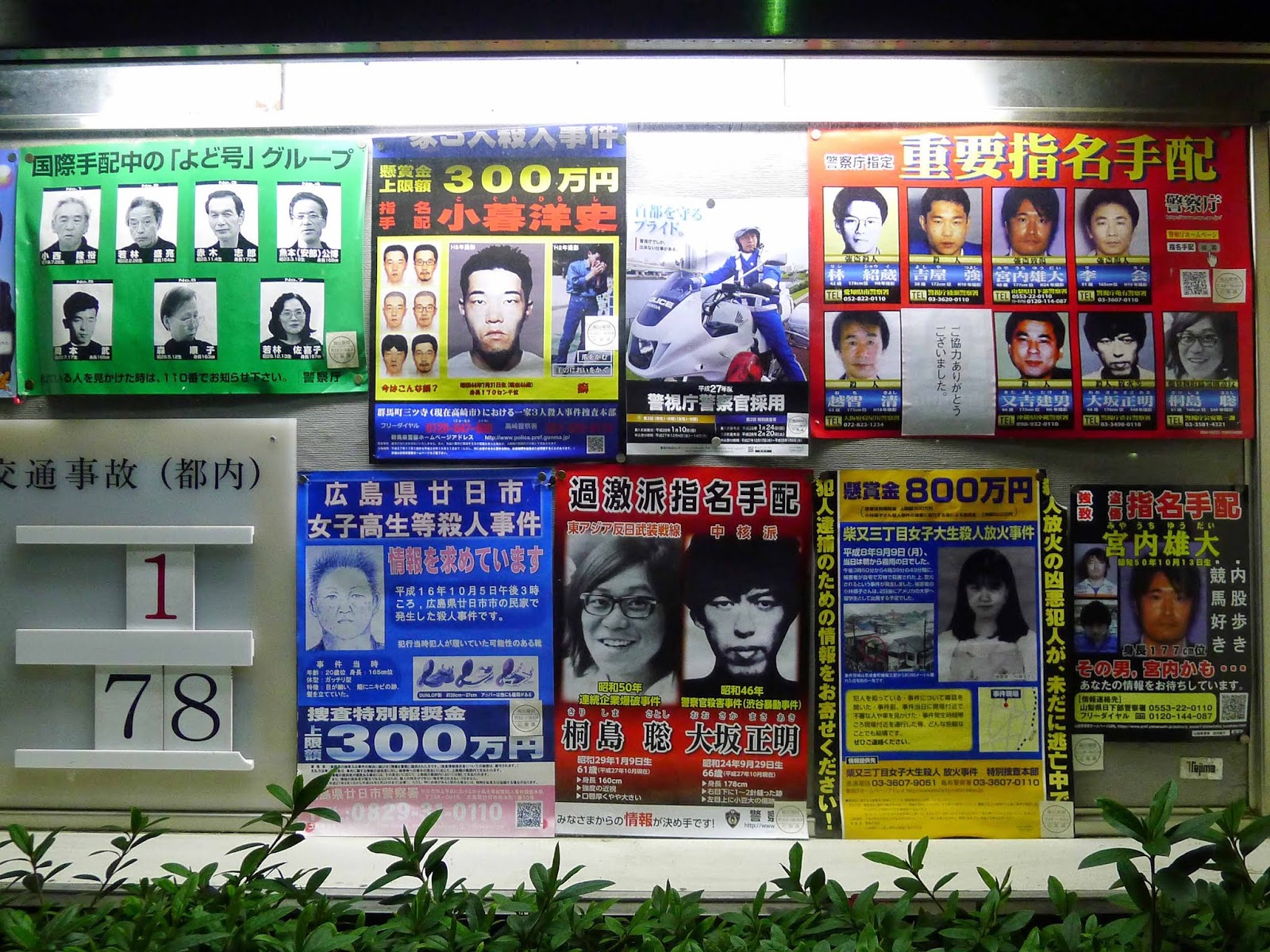 Eccentric Tokyo: Harajuku and Other Peculiarities