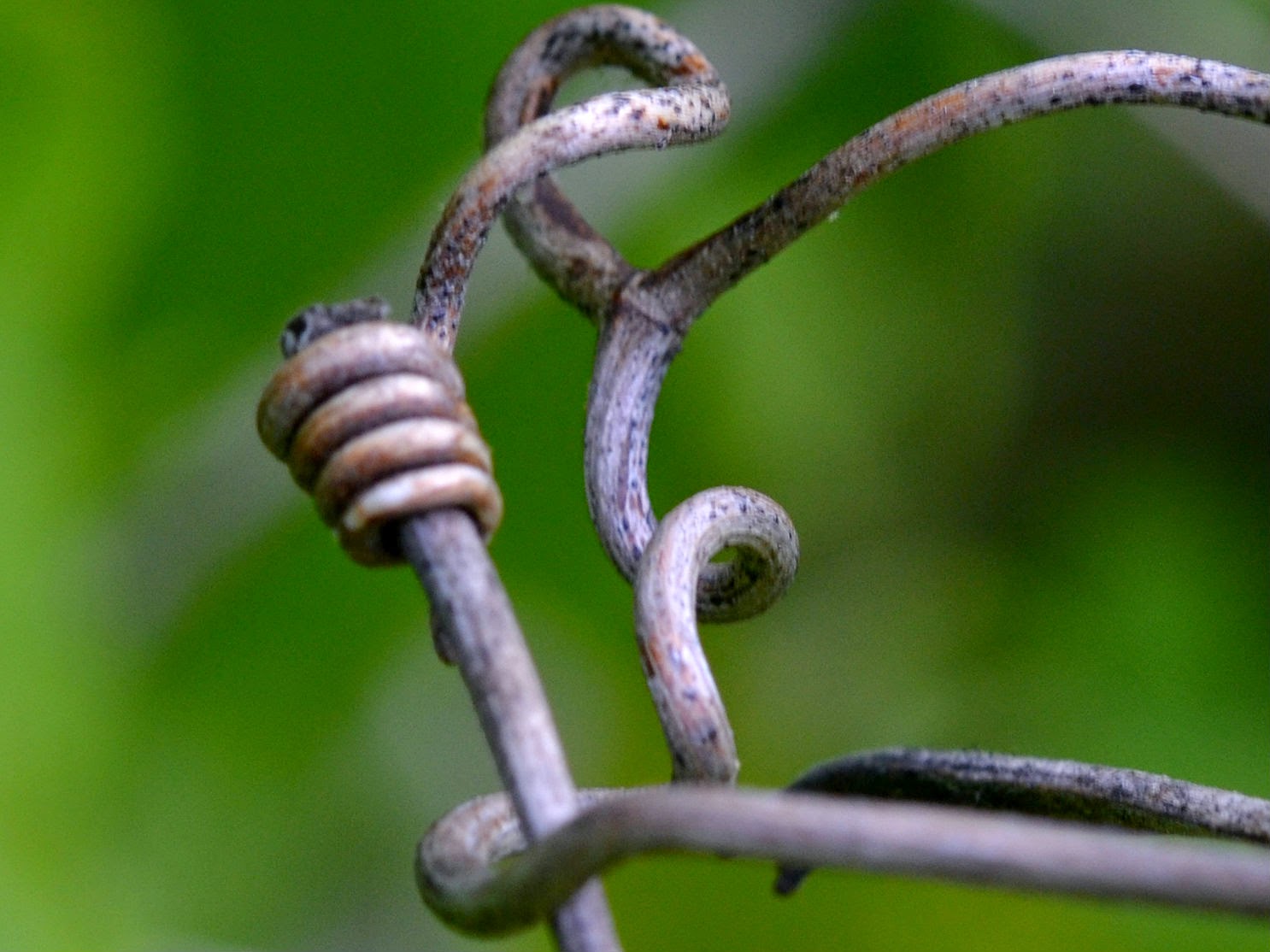 Daily Homilies: 2014