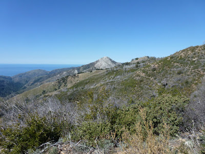 Hiking With Dave: East Molera Trail to Post Summit