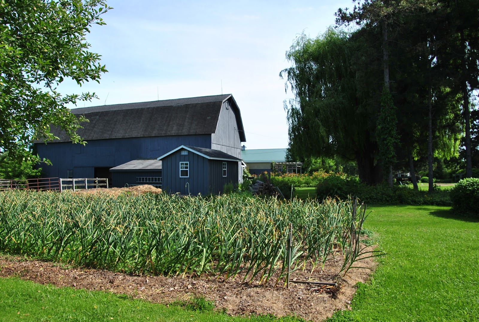 The Lady J: A Visit to the Skoog Farm, Brockport, NY