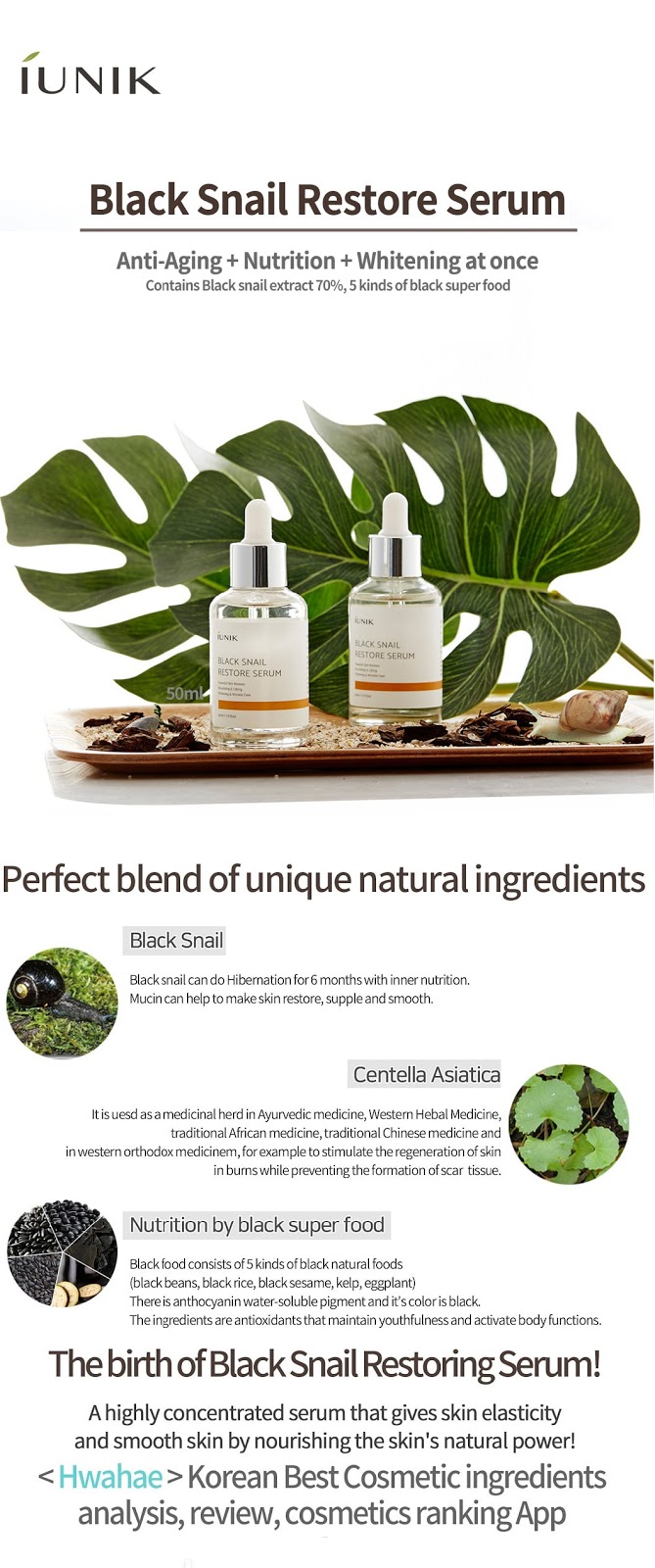 Korean Delicious Cosmetics skincare reviews: iUNIK - Black Snail ...