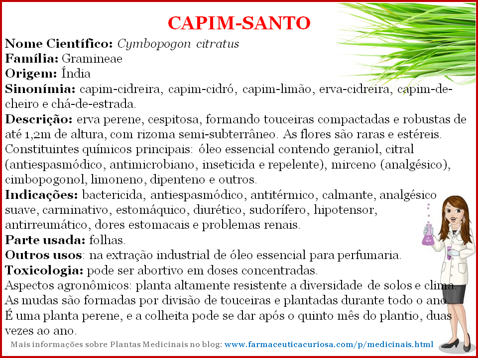 Farmacêutica Curiosa: Plantas Medicinais