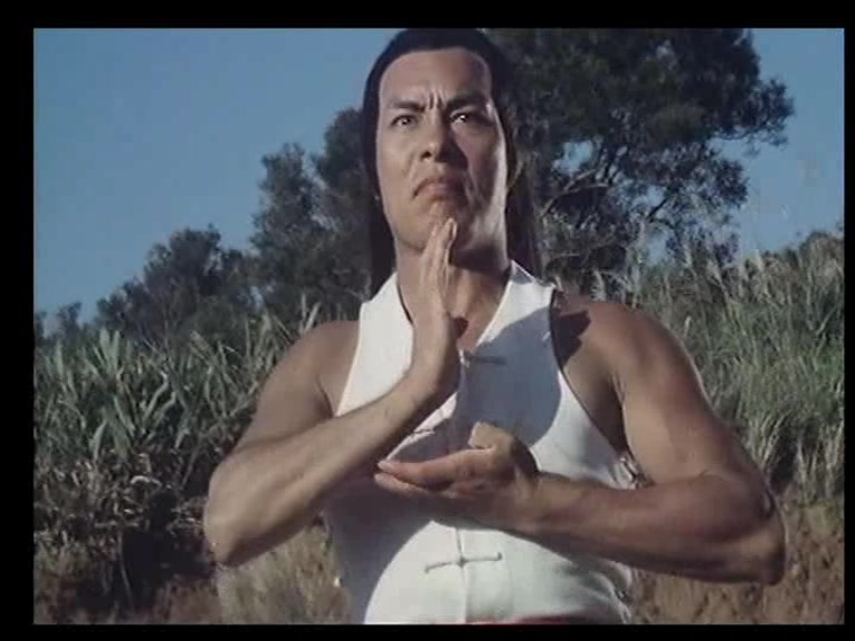 SHAOLIN'S BORN INVINCIBLE a.k.a BORN INVINCIBLE