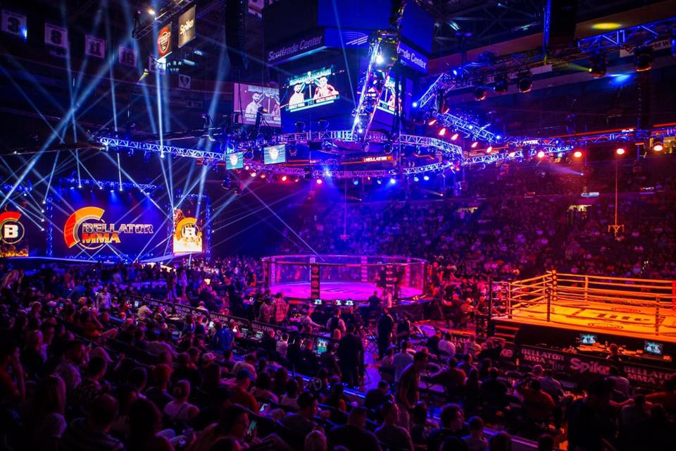 Babes of MMA: Katy Collins Wins her Bellator MMA Debut