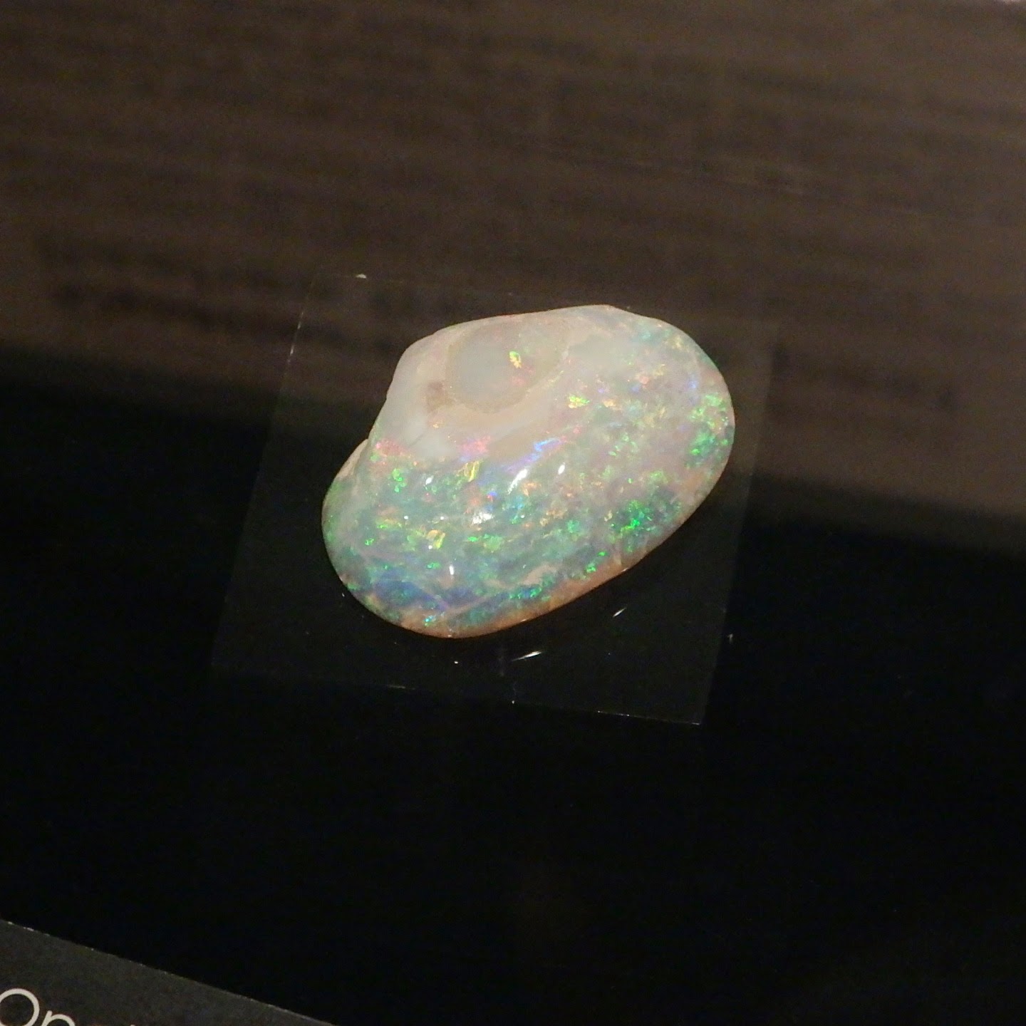 BONE ROOMS: The National Opal Collection