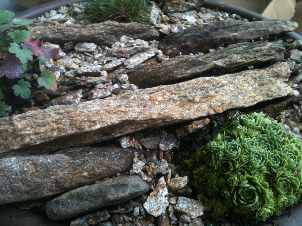 STILL LIFE GALLERY: Nature Contained: Welcoming designer,Jeff Slaven