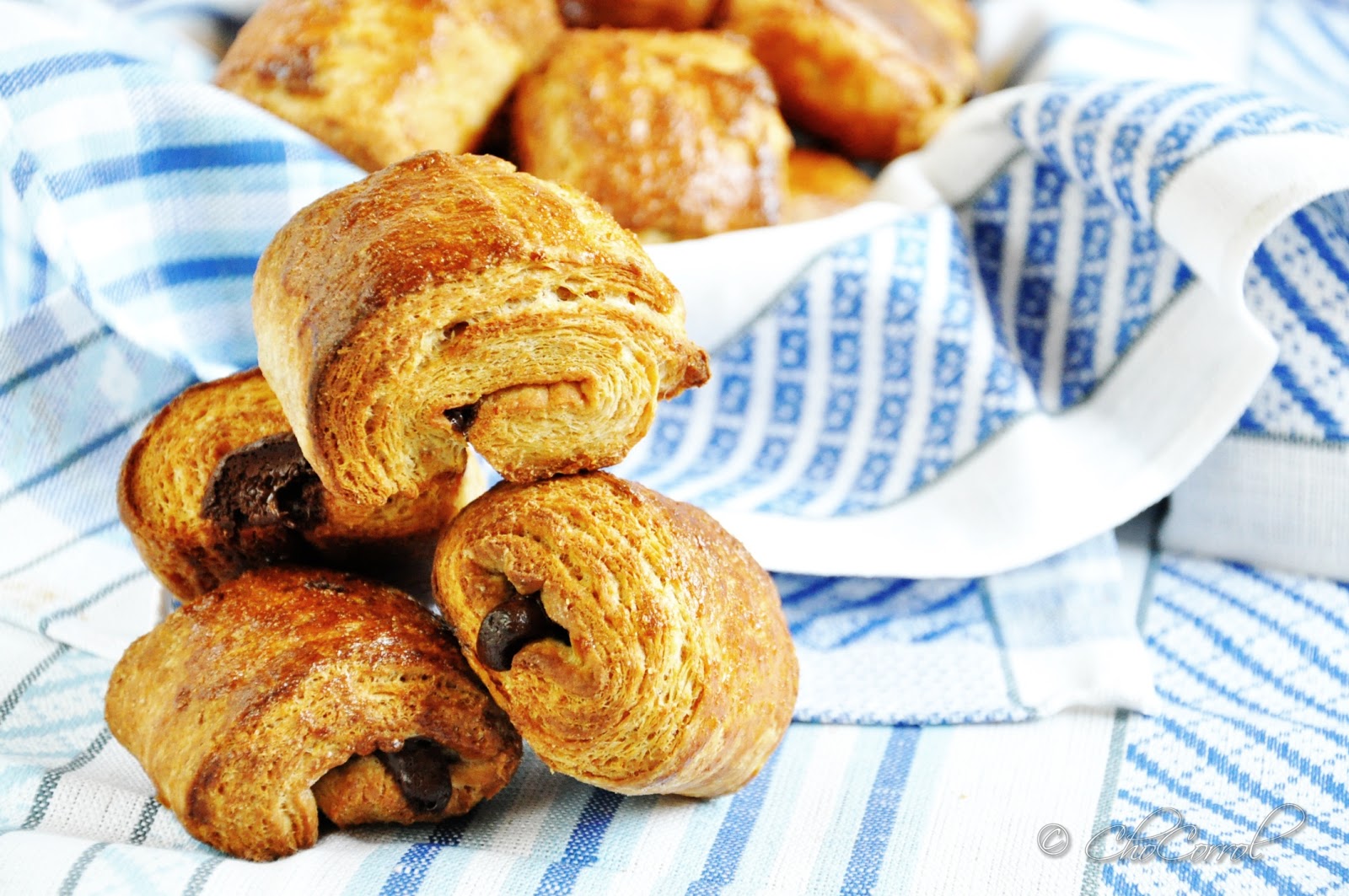 CoLoRes, SaBoRes, oLoRes...CoLoRs, TaSTeS, SmeLLS: mini whole wheat ...