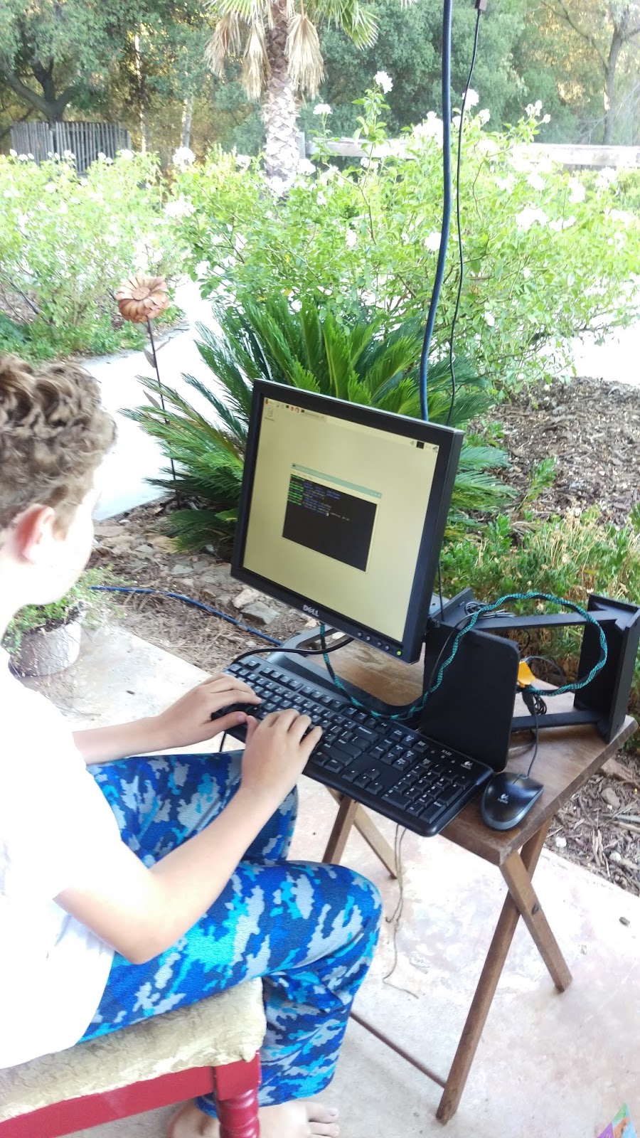 Update1: Raspberry Pi Birdfeeder Camera | Polka Dots and Protons ...