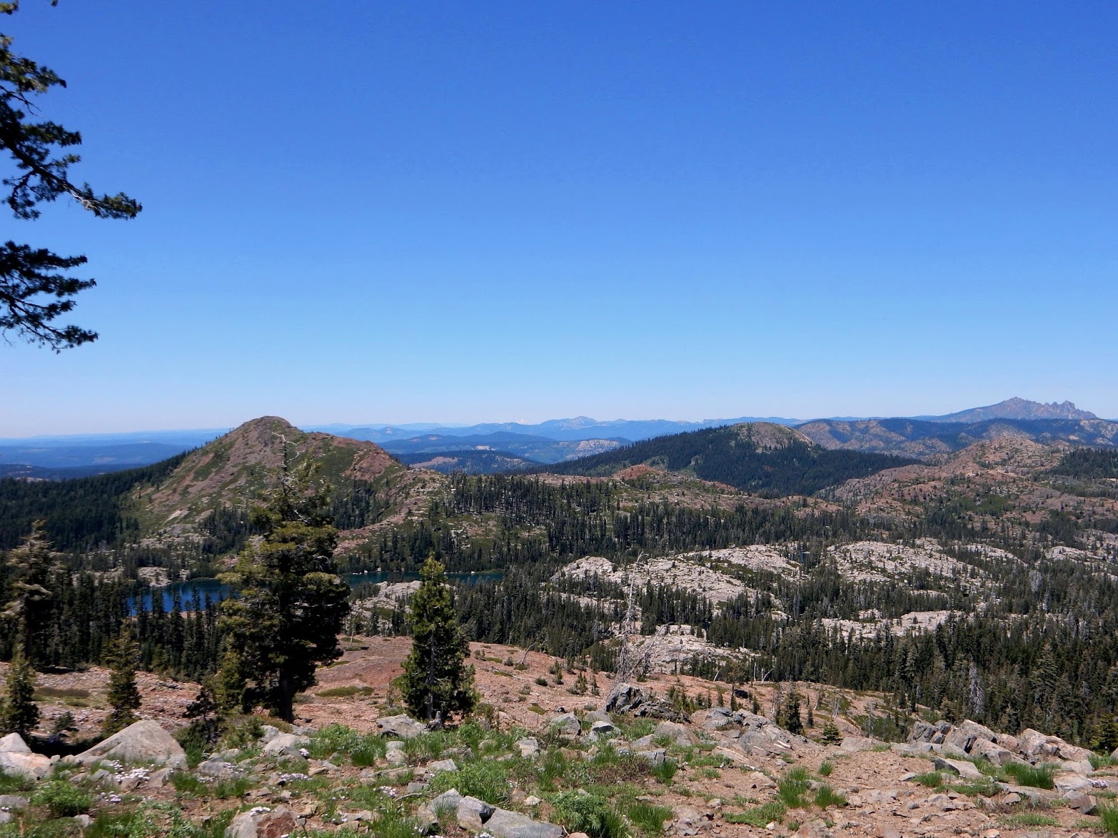 Peachy Hiker: August 2018 update Grouse Ridge Lookout ~ and Trail Head