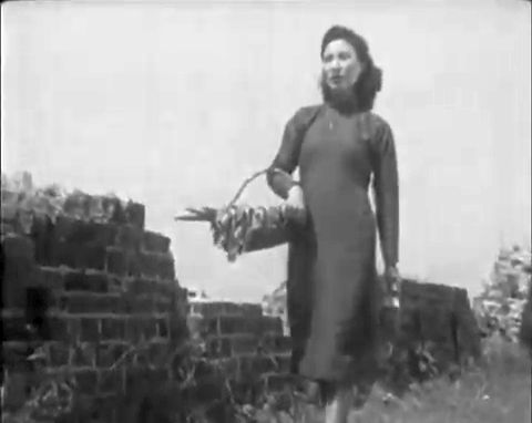 The Film Sufi: “Spring in a Small Town” - Fei Mu (1948)