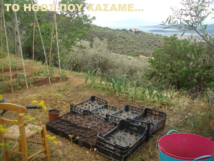 TΟ ΗΘΟΣ ΠΟΥ ΧΑΣΑΜΕ...: Καλημέρα και σήμερα...