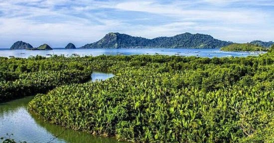 PAKET LIBURAN PULAU MANDEH: WISATA HUTAN MANGROVE - KAWASAN PULAU MANDEH