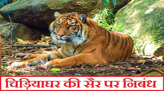 Essay On Visit To A Zoo In Hindi HindiVyakran essay-on-visit-to-a-zoo-in-hindi-hindivyakran