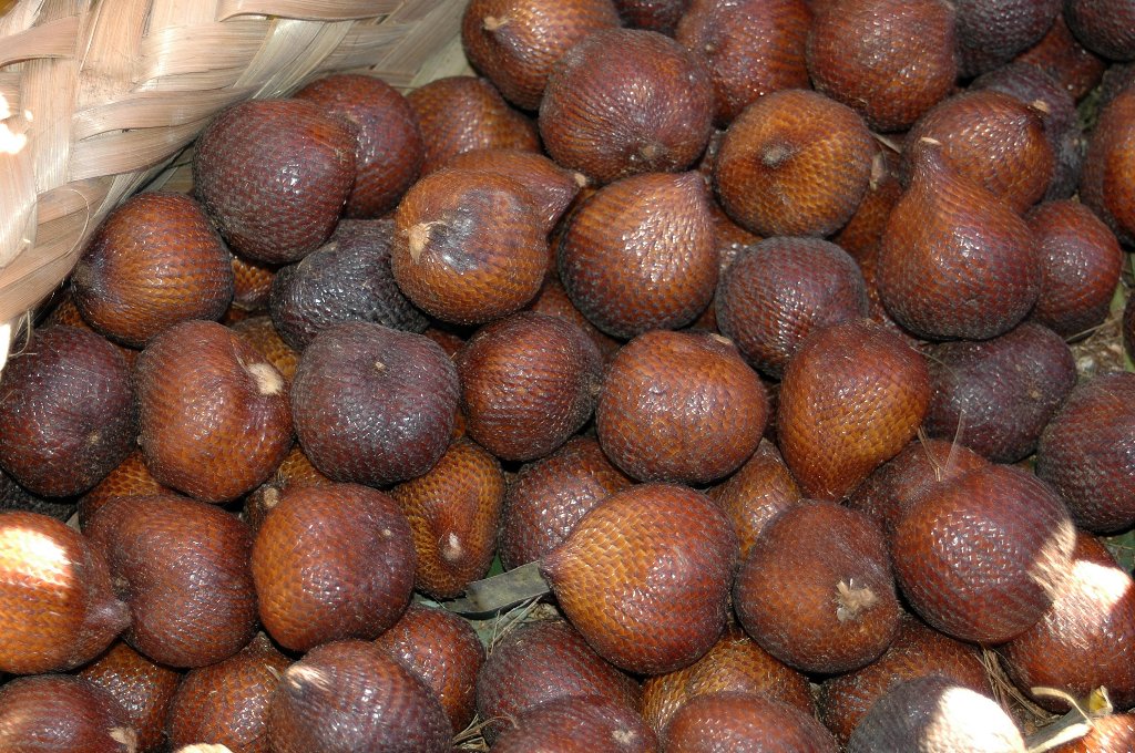 FLORACIONES EN MÁLAGA Y MÁS: Marrones
