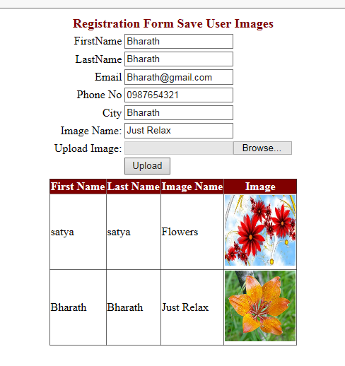 Satya Tutorial: How to inserting images into database and retrieving ...