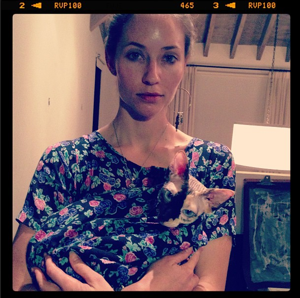 OC Sphynx Kittens: Incubus Artist & Musician Brandon Boyd and ...
