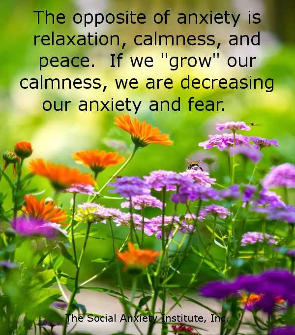 Social Anxiety Institute