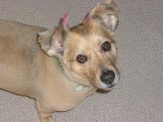 McMotte: Farewell Sandy Nell