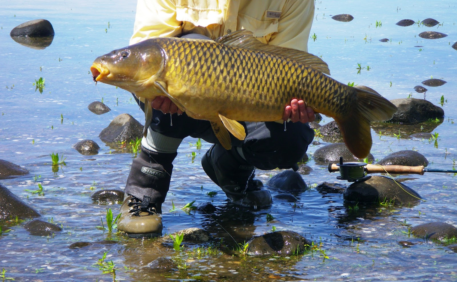 Got Backing? (Formerly Known as Mr. P.'s Blog): A 20 pound Carp Fishing ...
