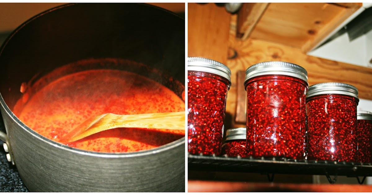 Two Bears Farm and the Three Cubs: Wineberry Jam