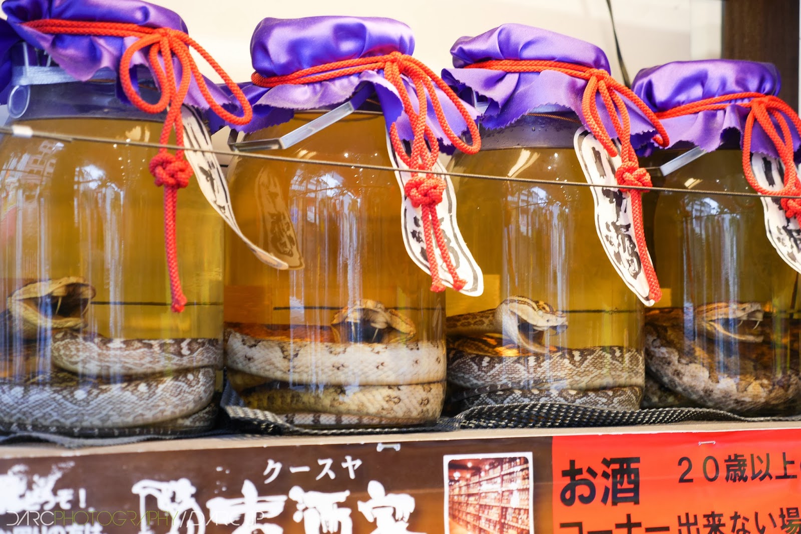 Cold Noodles and Hot Saké: Shots #105 Habu-shu (Snake Booze)