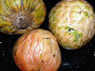 Bangladesh Development Studies: Attraction of Bangladesh for the Tourists