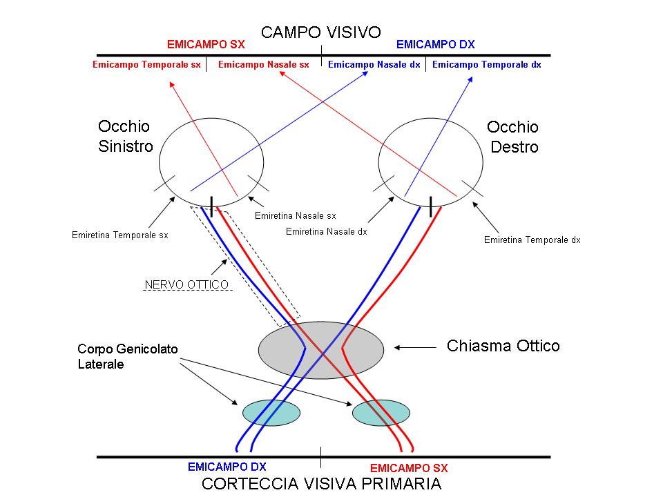 Per monti e per boschi: La Visione