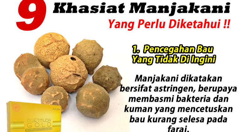 Puteri Alya: 9 Khasiat Manjakani Yang Perlu Diketahui!