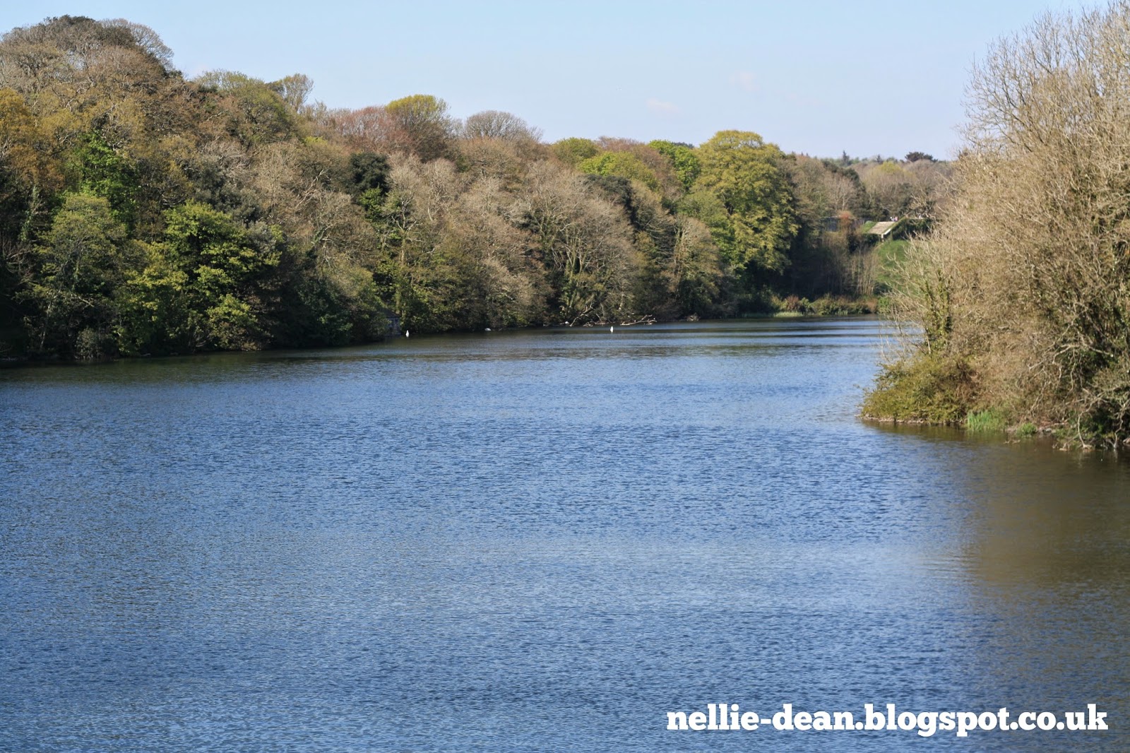 nellie dean: days out in pembrokeshire: national trust stackpole estate