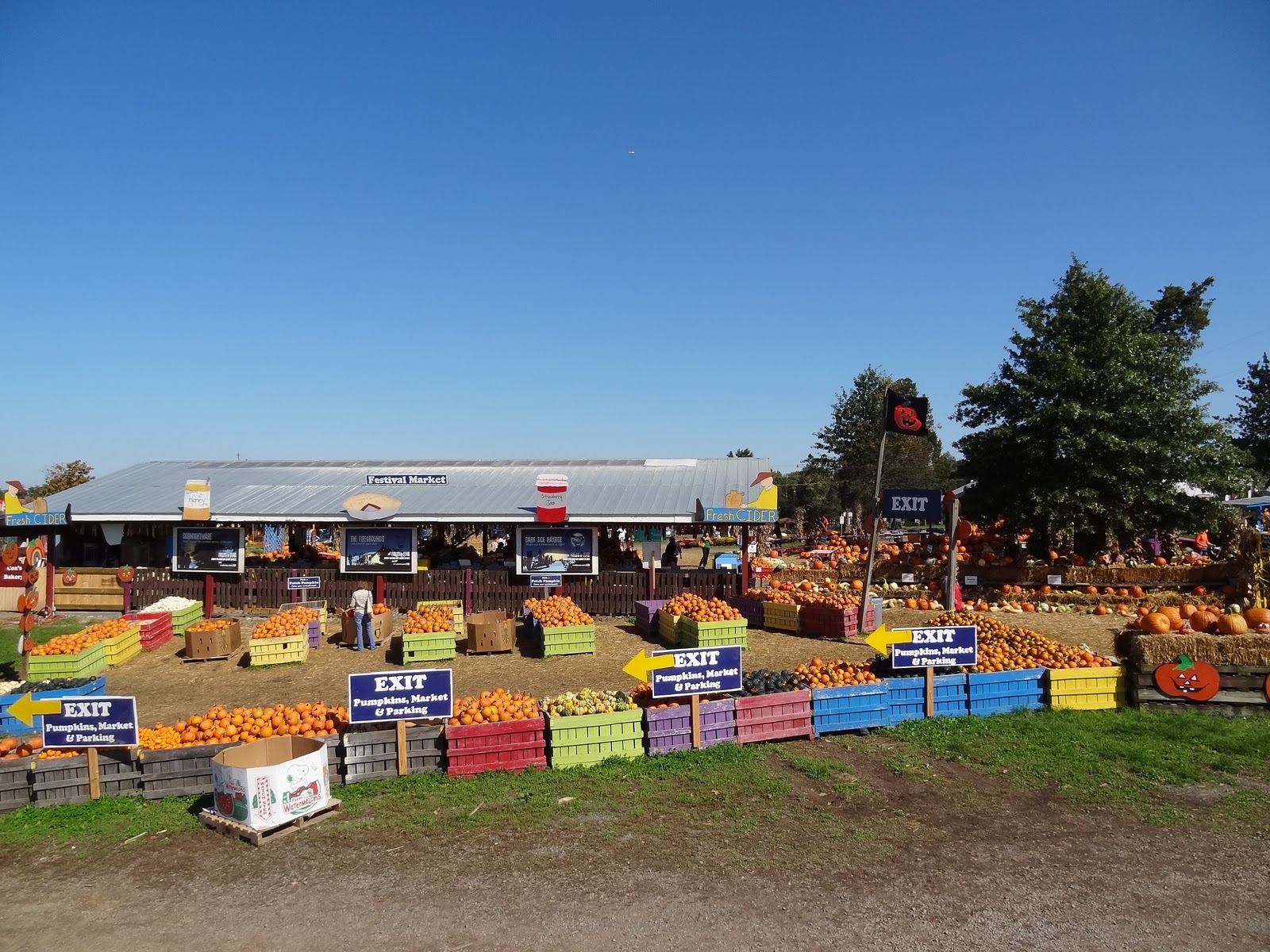 Always On the Move: Cox Farms fieldtrip