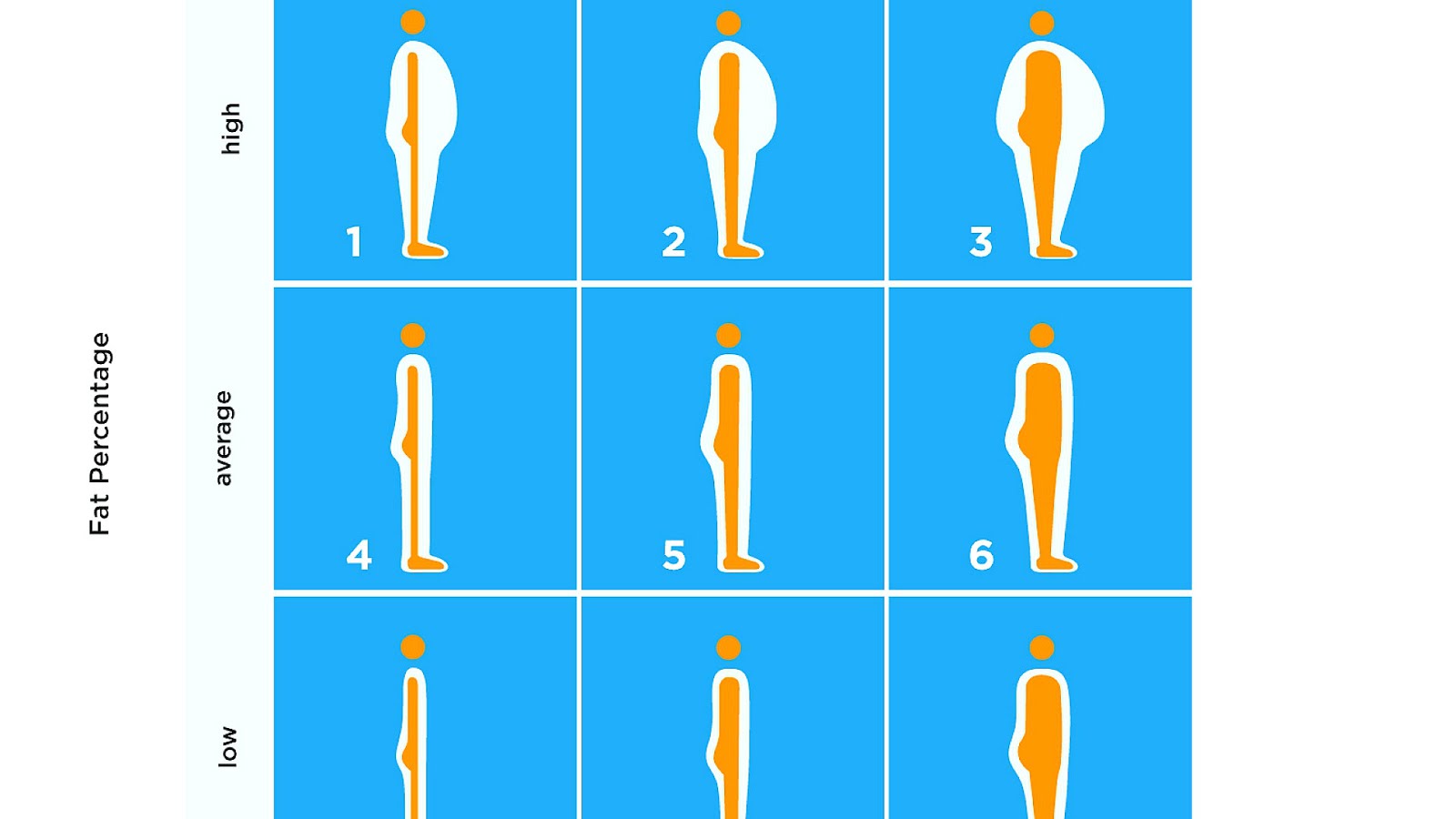 Bone Mass Index Chart - Index Choices
