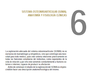 FISIOMÓNICA: Hablemos el mismo idioma: ¿SOMA? diferente a ¿soma?
